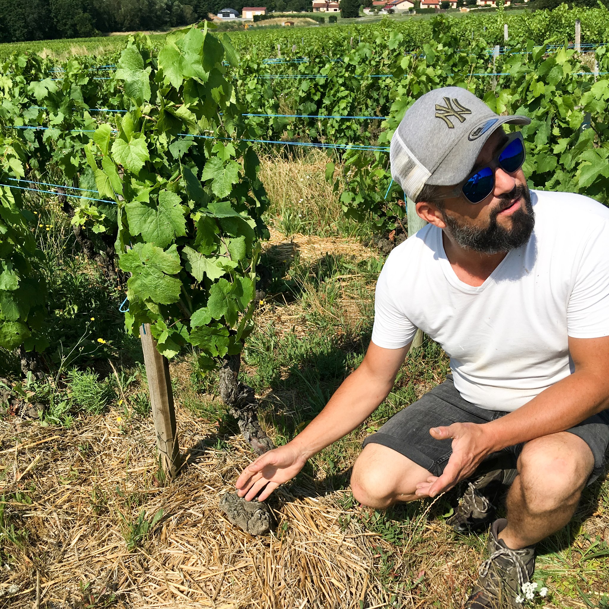 Fabrice Le Glatin au domaine de la cure — buneba · vins libres