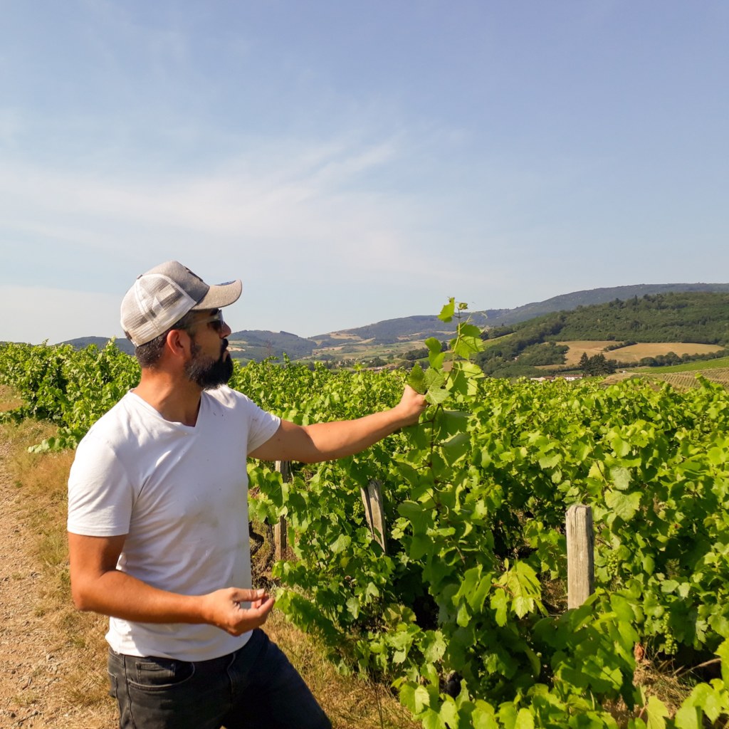 Fabrice Le Glatin au domaine de la cure — buneba · vins libres